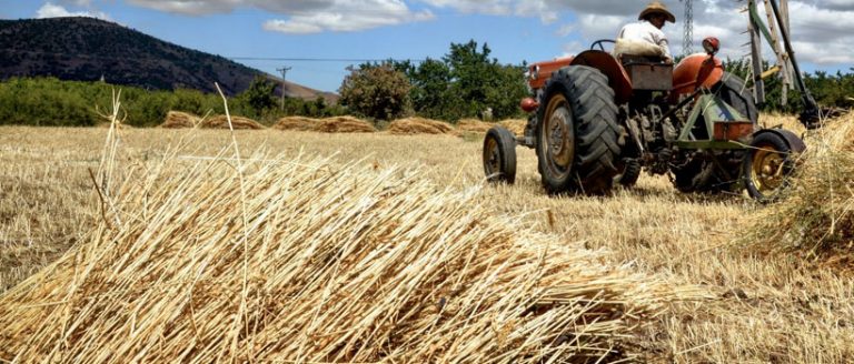 Long Straw Thatching – Dodson Thatchers – Cambridgeshire’s finest ...