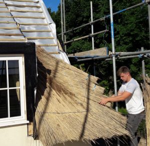 Water Reed Thatching – Dodson Thatchers – Cambridgeshire’s finest ...